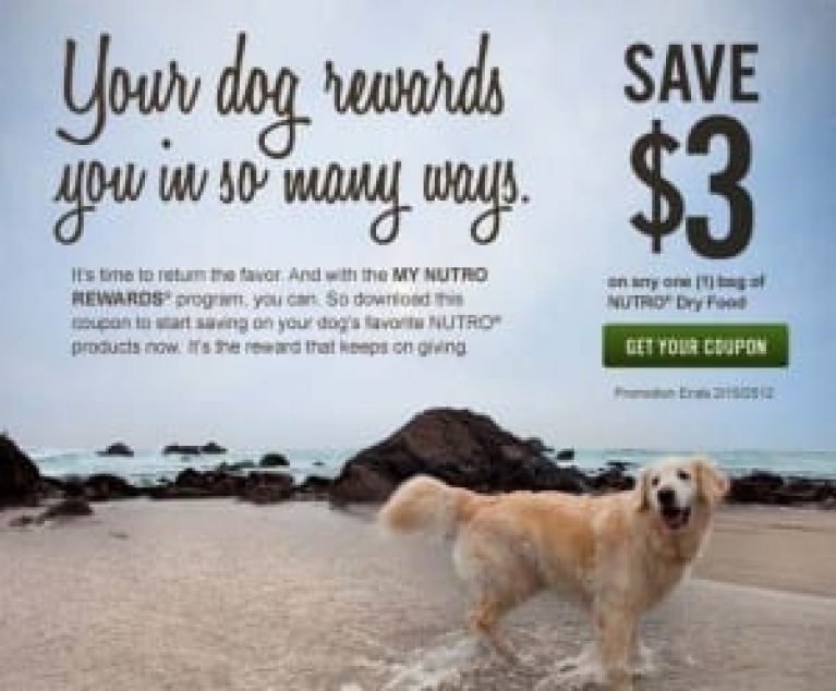 Nutro Dog or Cat Food $3 off Printable Coupon!