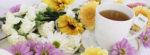 FREE Harris Tea Samples! - Mojosavings.com