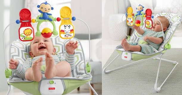 Target: Fisher-Price Baby Bouncer Just $18.80! Reg $30!!! - Mojosavings.com